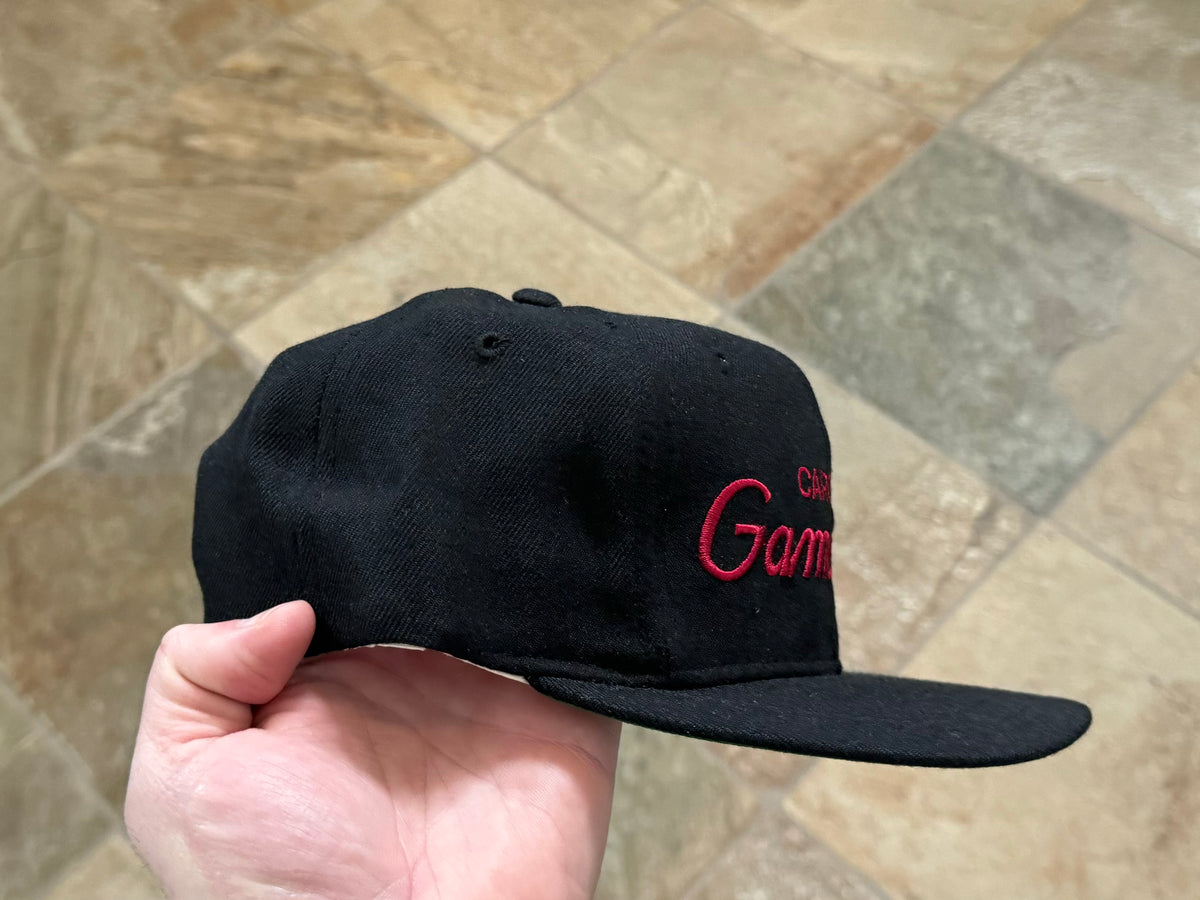 Vintage South Carolina Gamecocks Sports Specialties Script Snapback Co ...